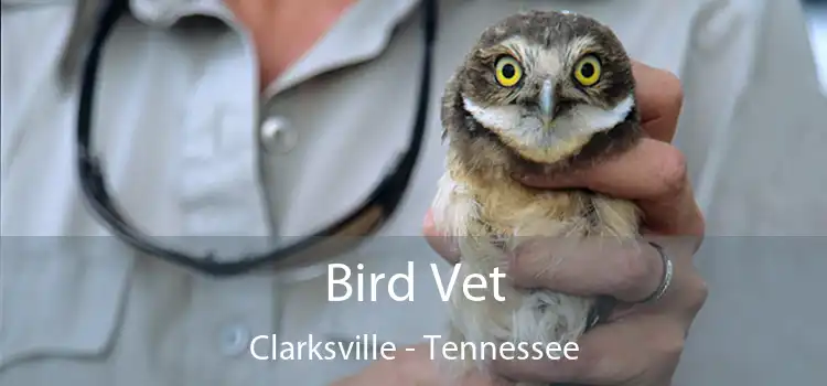Bird Vet Clarksville - Emergency Exotic Avian Vet Near Me